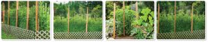 Wood Stakes: A Complete Guide - Capital Forest Products